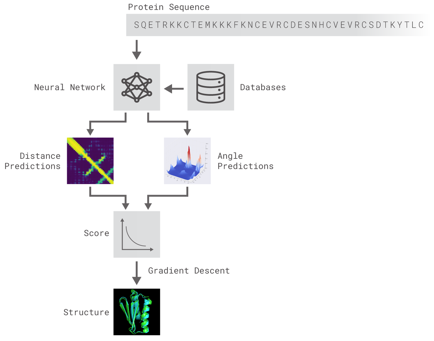 AlphaFold: Using AI for scientific discovery